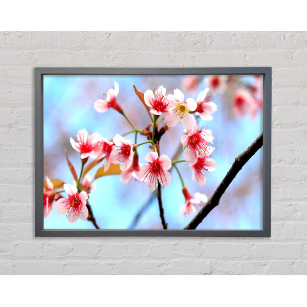 Ebern Designs Wild Himalayan Cherry - Einzelner Bilderrahmen Kunstdrucke auf Leinwand | Wayfair.de